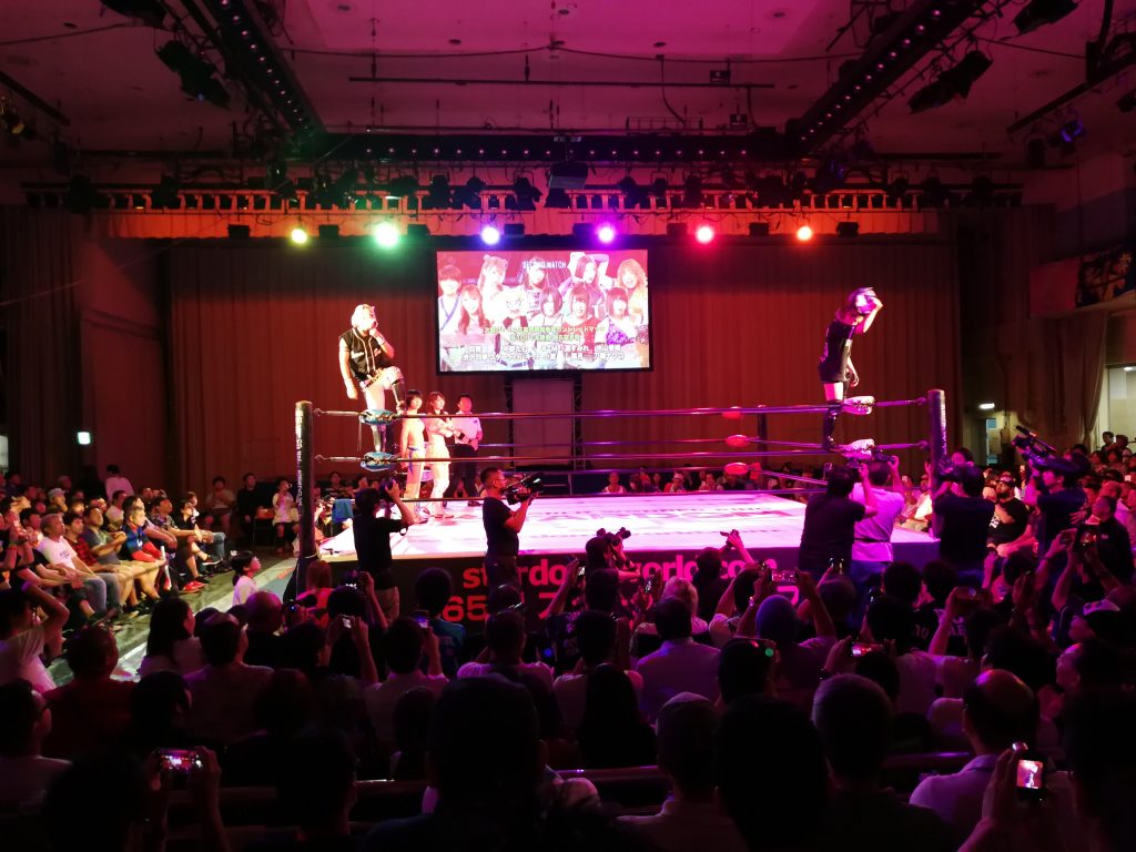 WH Park: Journey to the Center of Puroresu