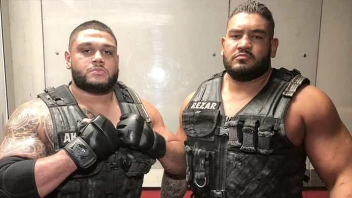 Former Authors of Pain launching Wrestling Entertainment Series