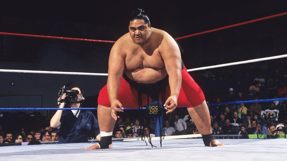POLLOCK'S NEWS UPDATE: WWE ICONS - Yokozuna review