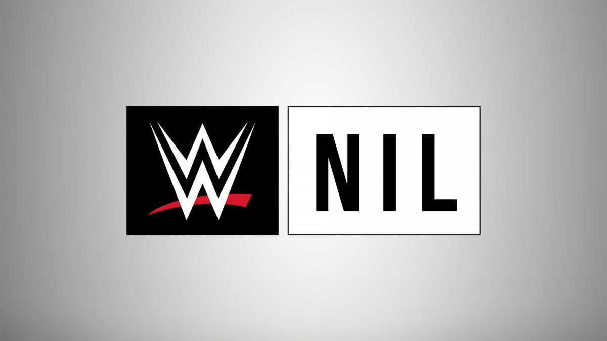 Wwe Network Logo 2022