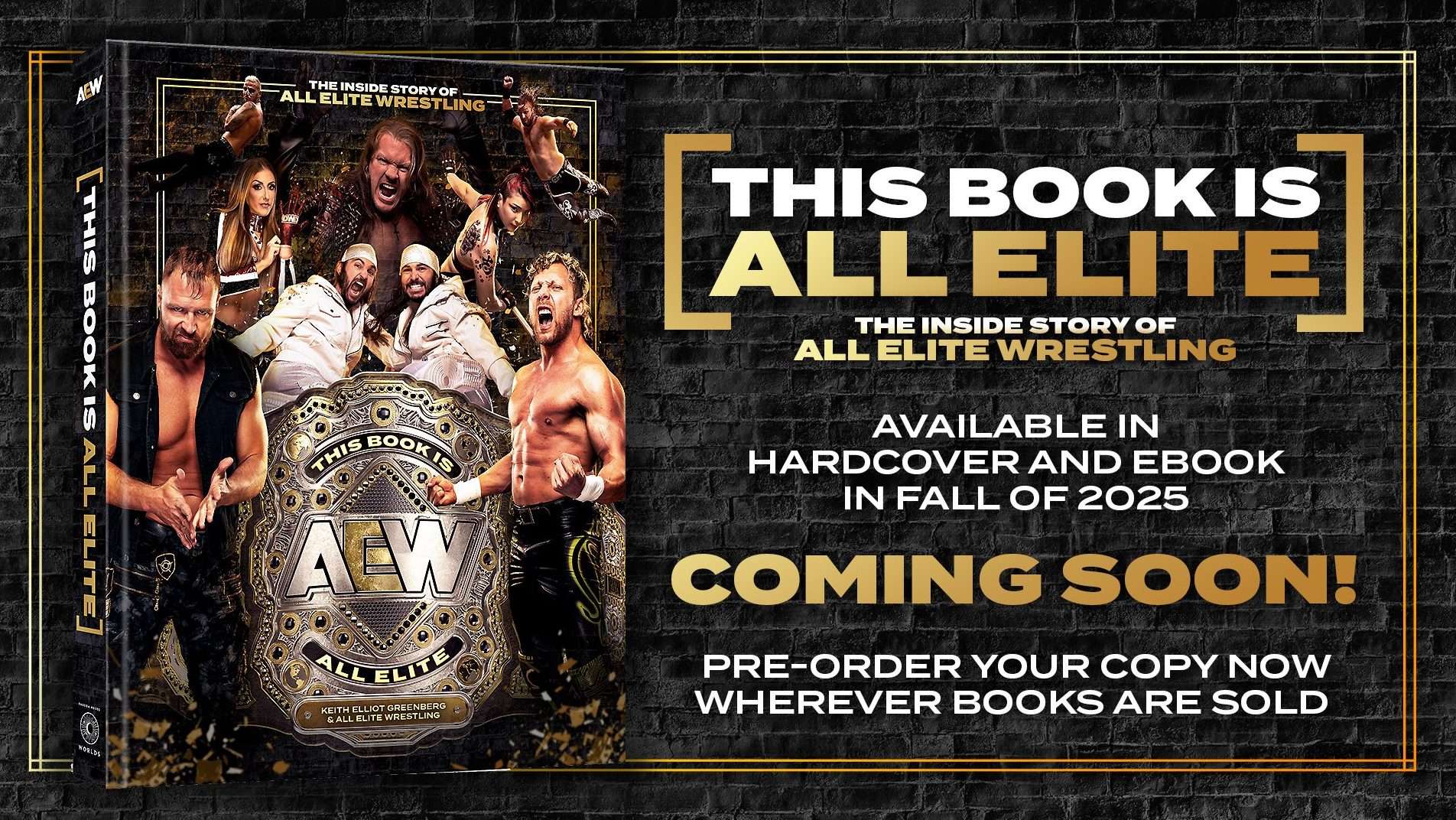 AEW announces 'This Book Is All Elite' for fall 2025 release - POST ...